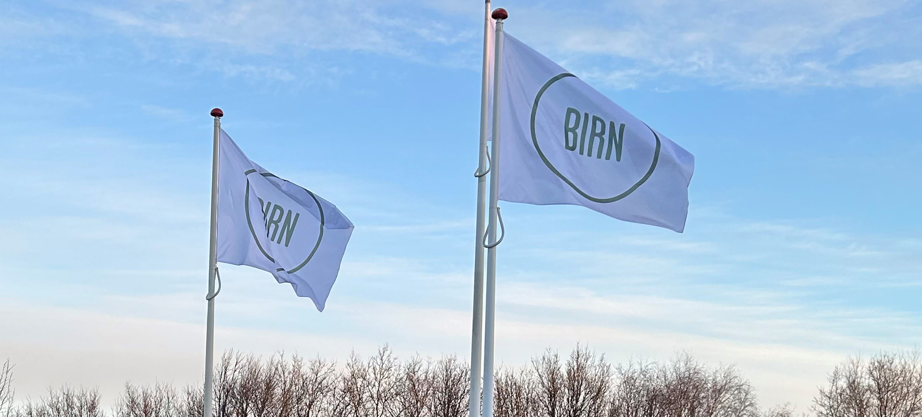 BIRN launches new group strategy